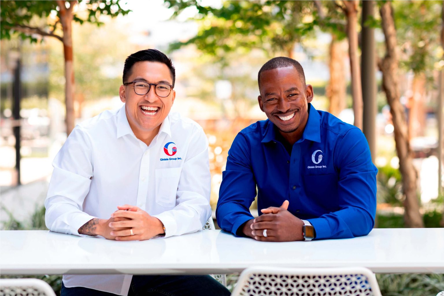 Services & Solutions - Ginisis